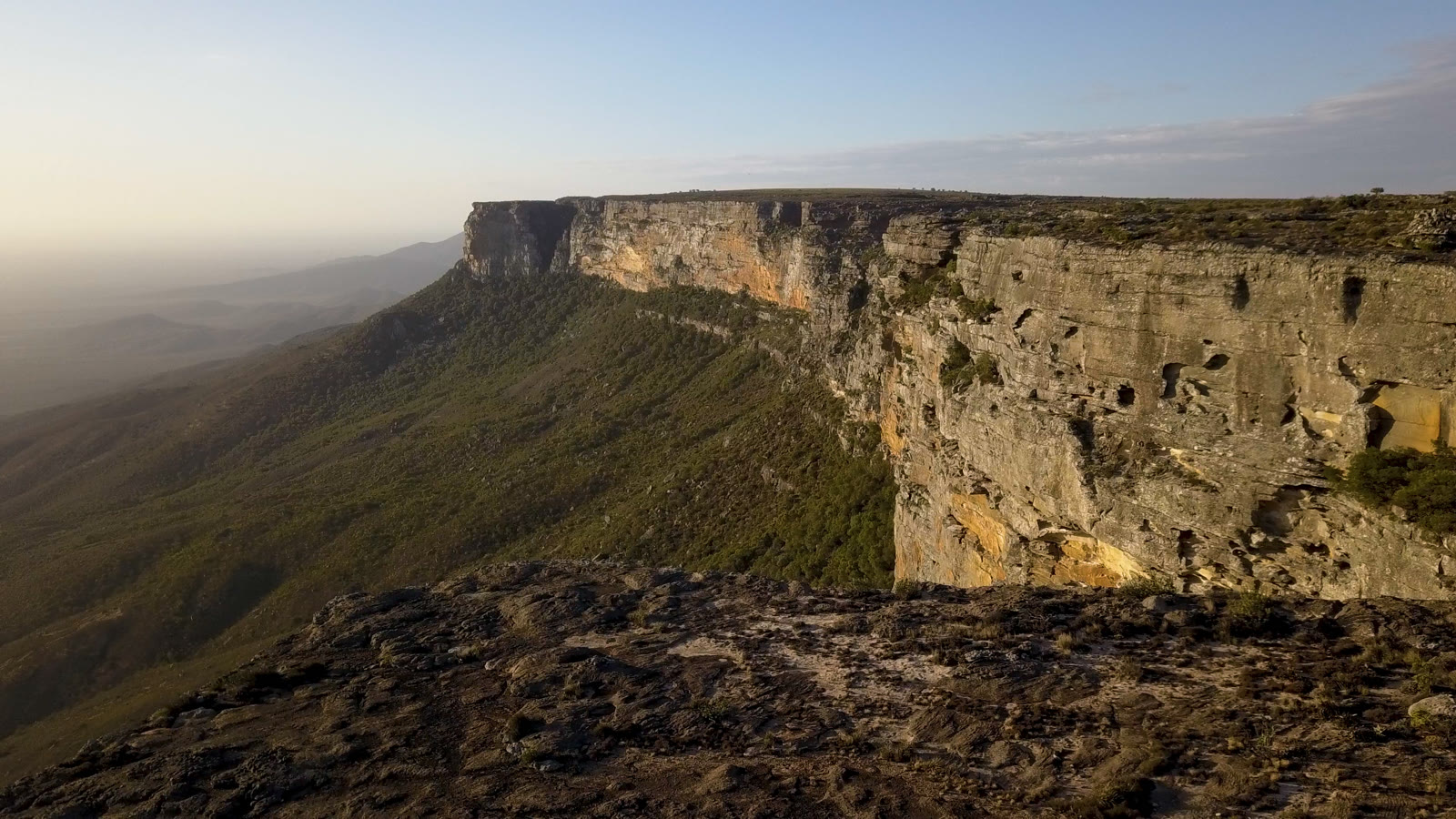 Tierberg | Highest Altitude Single Estate Rooibos